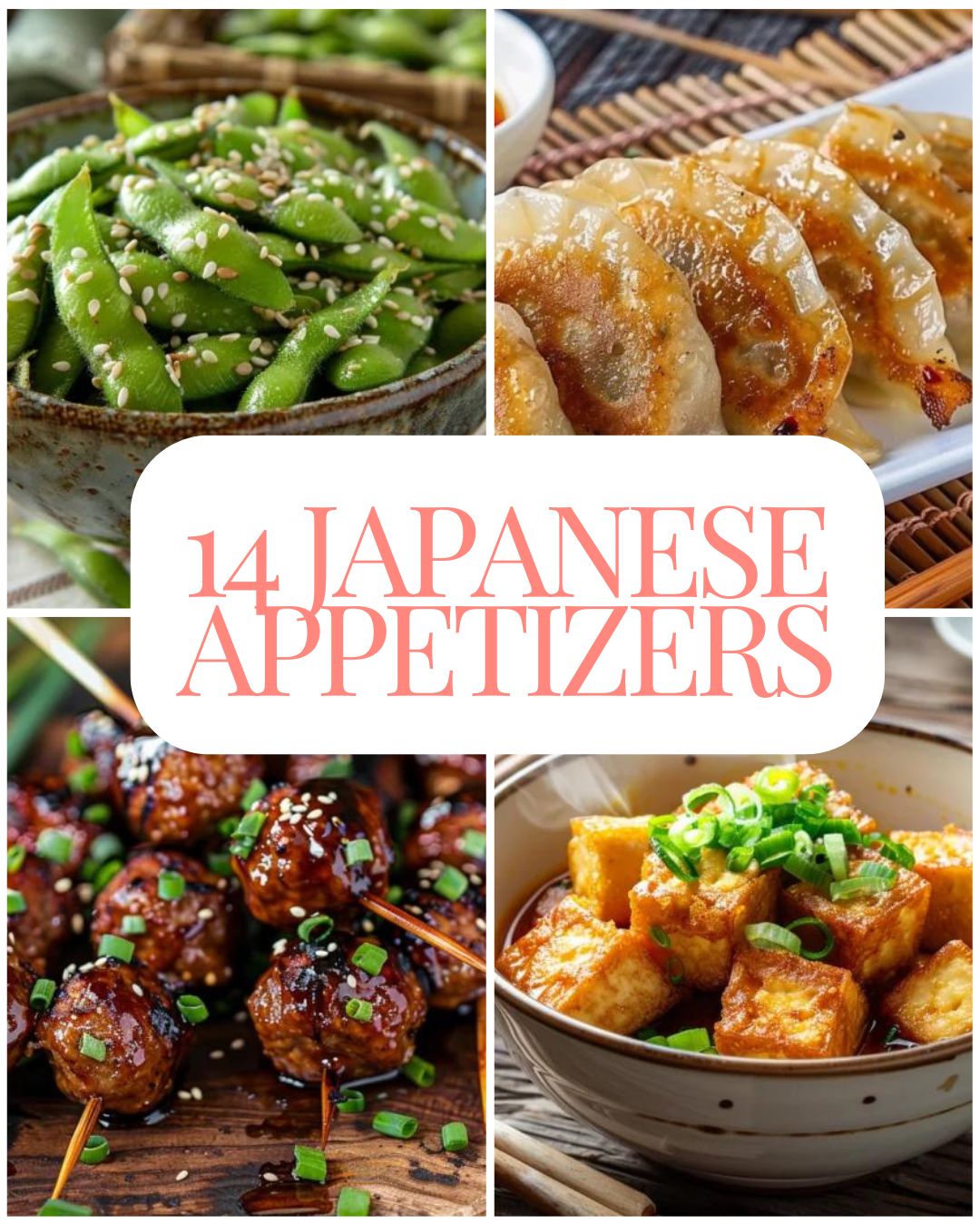 14 Japanese Appetizers - SoyRice Kitchen