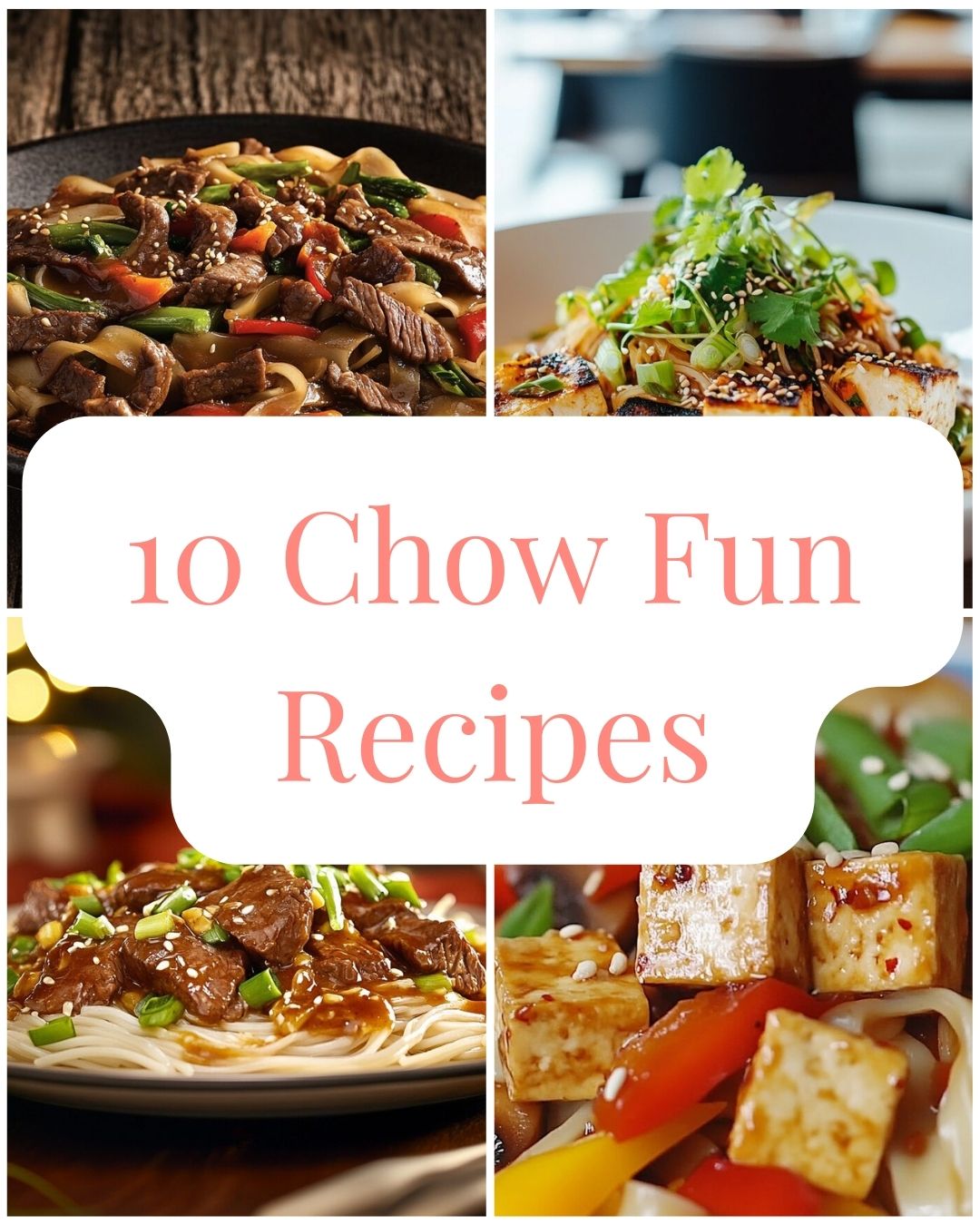 10 Chow Fun Recipes - SoyRice Kitchen